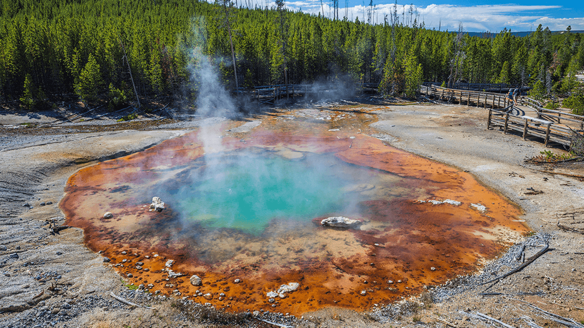 Echinus geyser erupts: World's largest acidic geyser puts on show at ...
