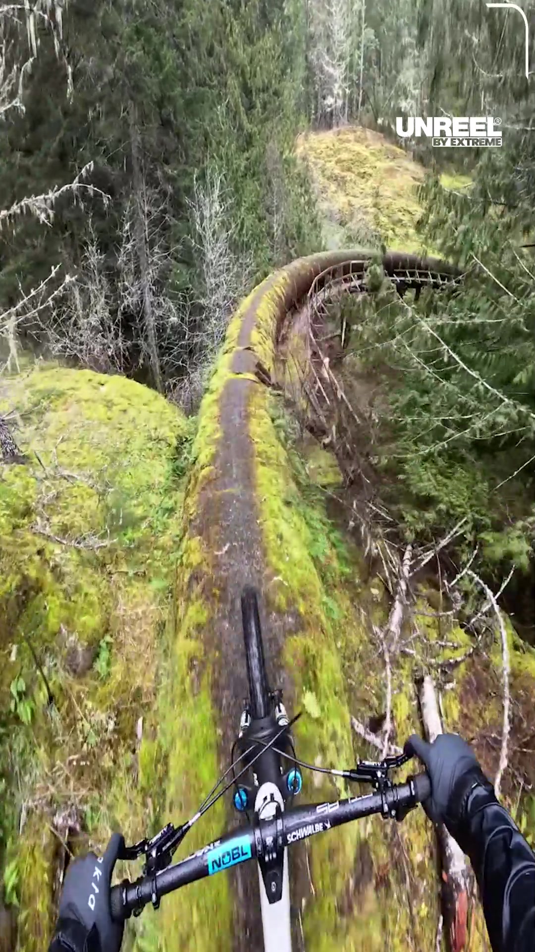 Mastering Canada's ultimate log ride: Test your nerve and skills!