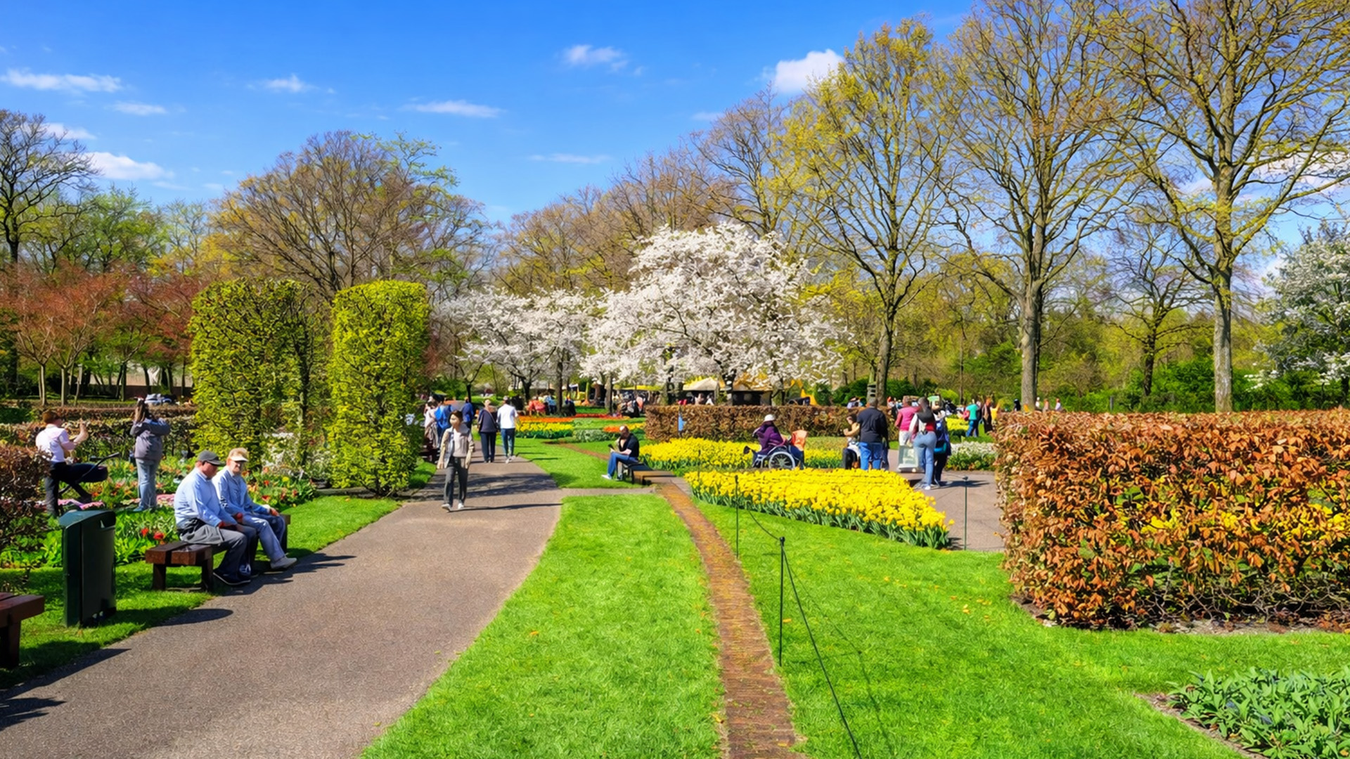 Keukenhof: El paraíso de flores en primavera en Holanda (4K)