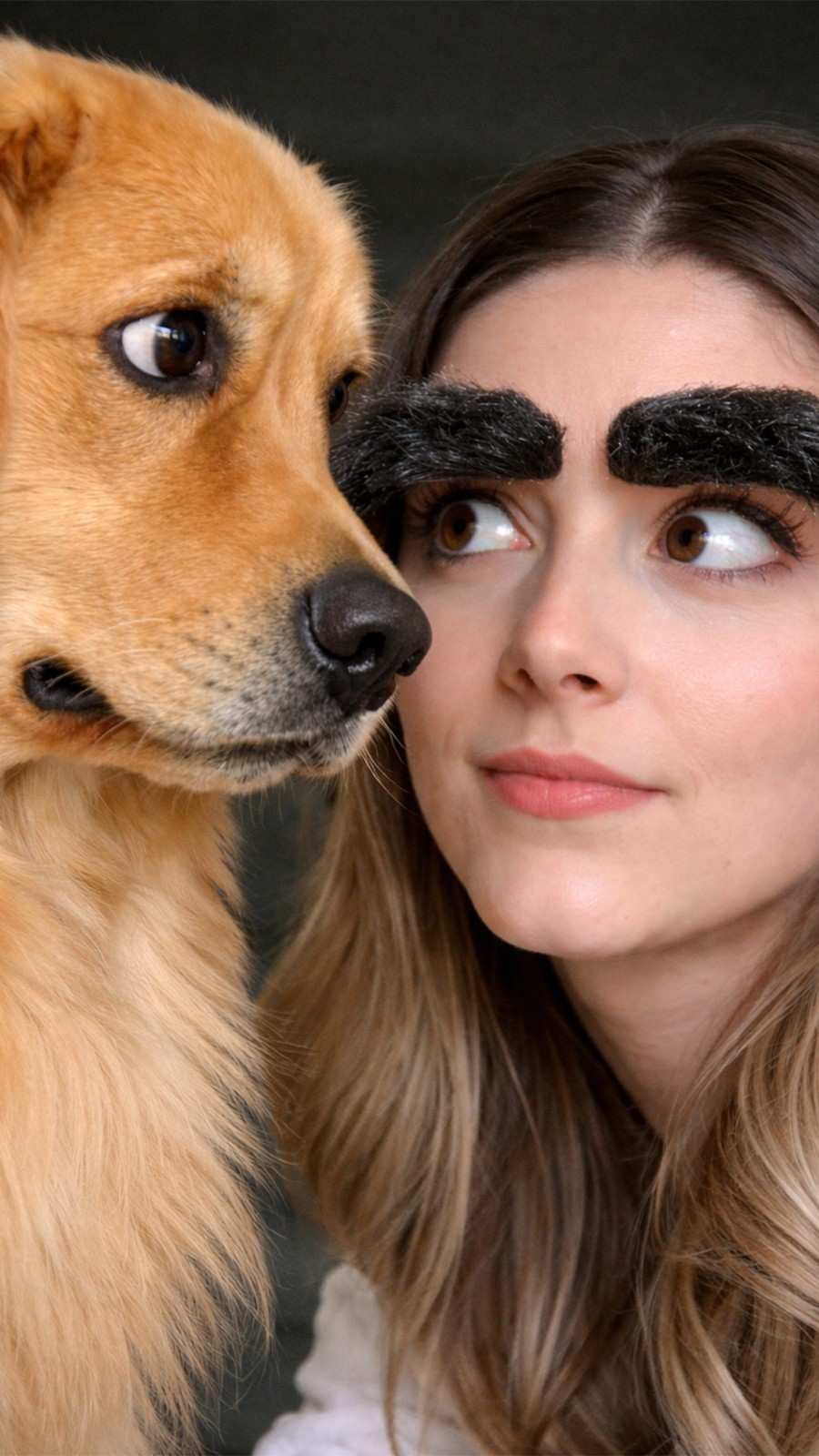 Why is my golden retriever judging me?