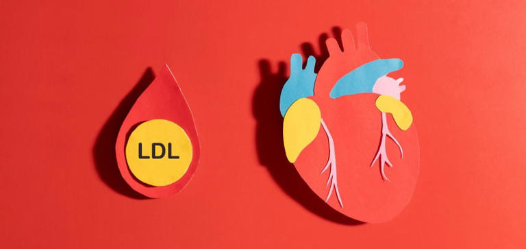 HDL vs LDL: Which is good cholesterol? Key differences explained