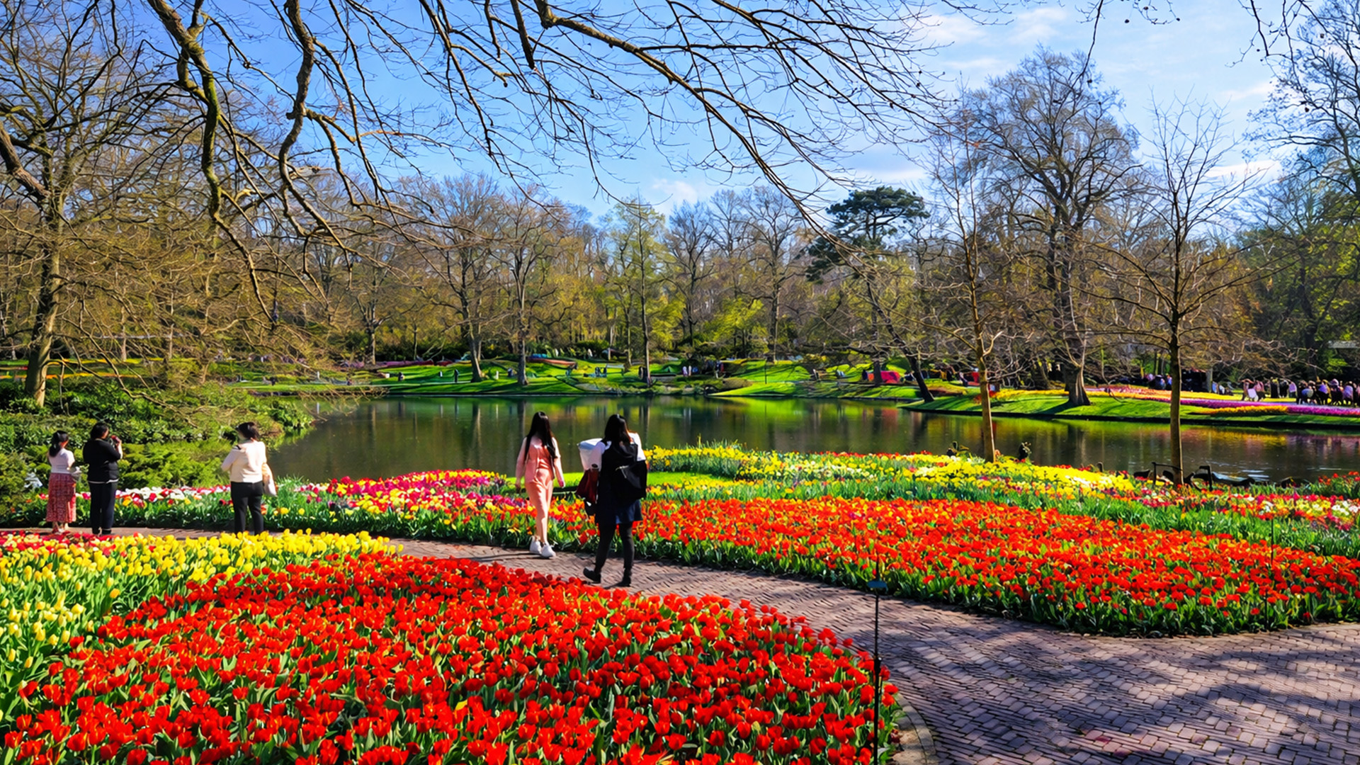 Keukenhof Holland famous tulip garden tour (4K)