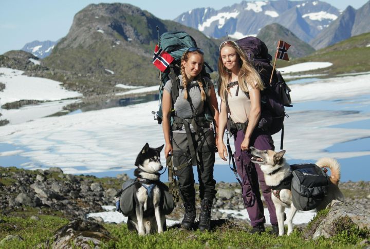 15 must-do outdoor activities with your dog