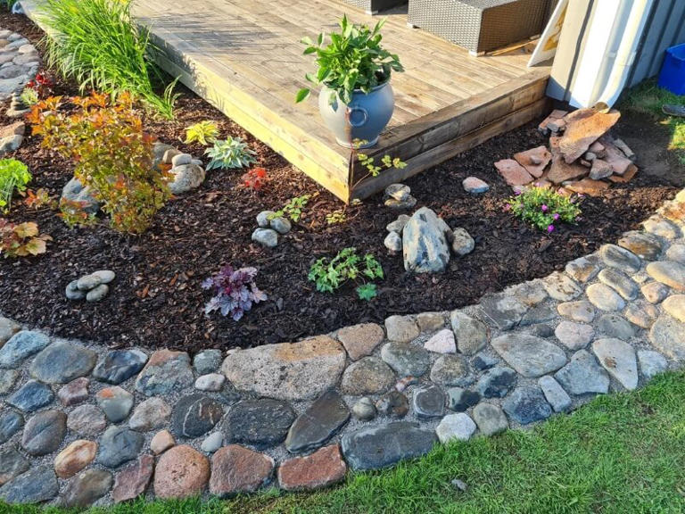 Gardener shares 'beautiful' before-and-after photos of yard ...