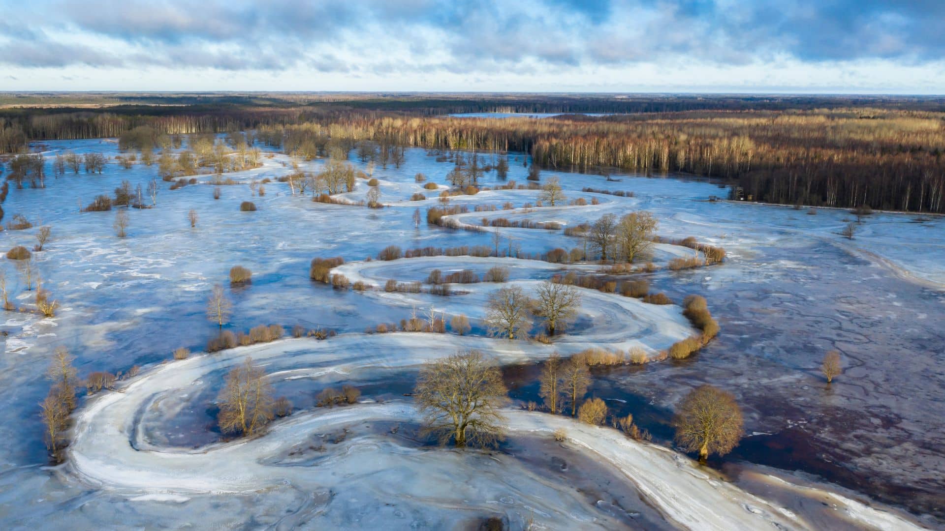Otherworldly photos of Estonia’s forests and landscapes