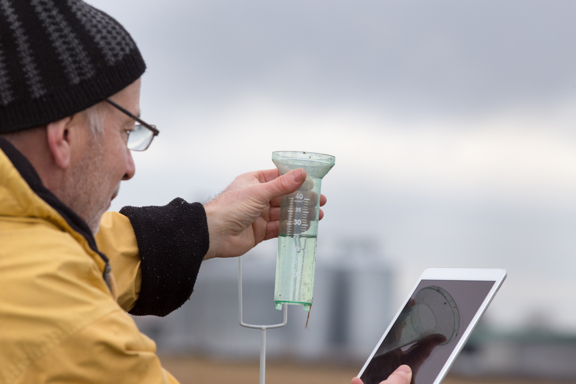 What are the six kingdoms of all living things?