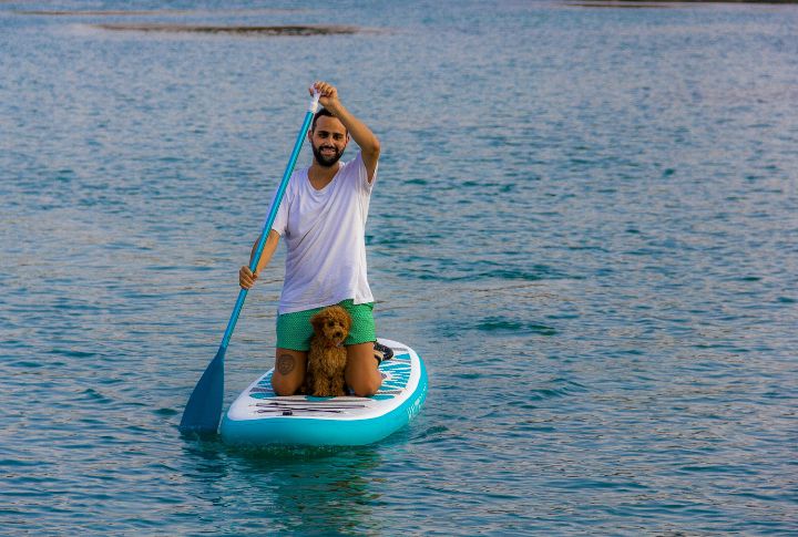 15 must-do outdoor activities with your dog