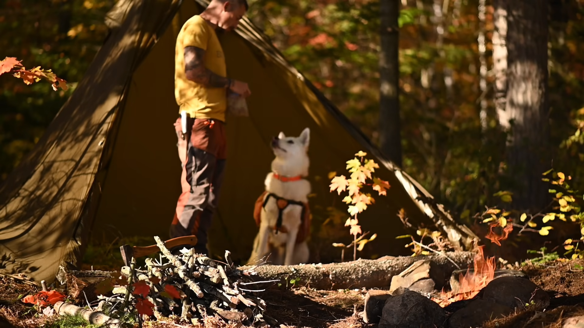 Sometimes all you need is a fire, a lake, and a good dog