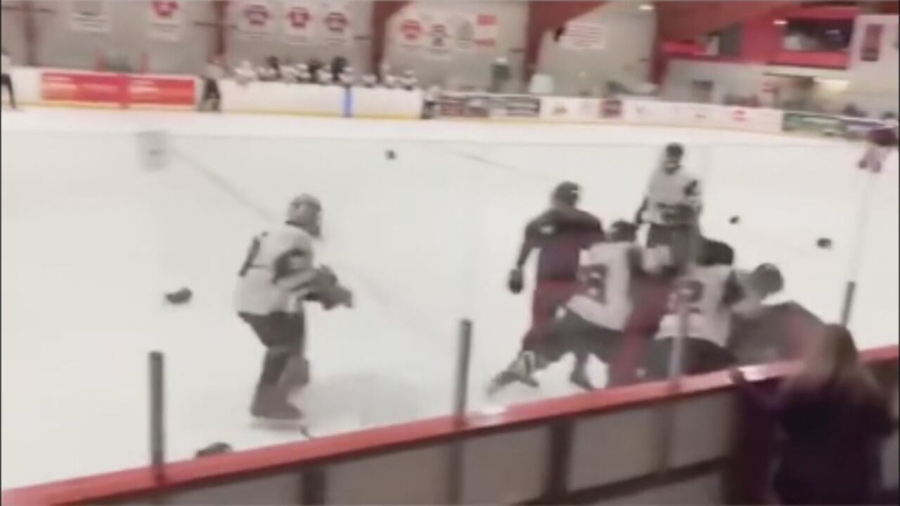 St. John's hockey league doles out 'unprecedented' suspensions for Caps ...