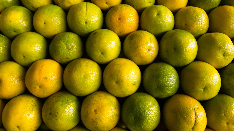 If most oranges are too acidic, the Lima variety is for you