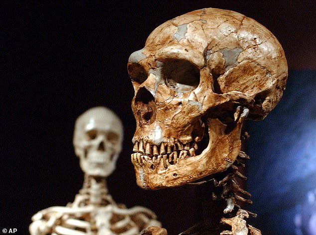 Ever wondered what Neanderthals sounded like? Scientists recreate lost ...