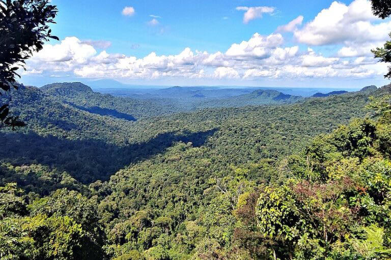 Ecuador’s new ecological corridor connects Andes and Amazon ecosystems
