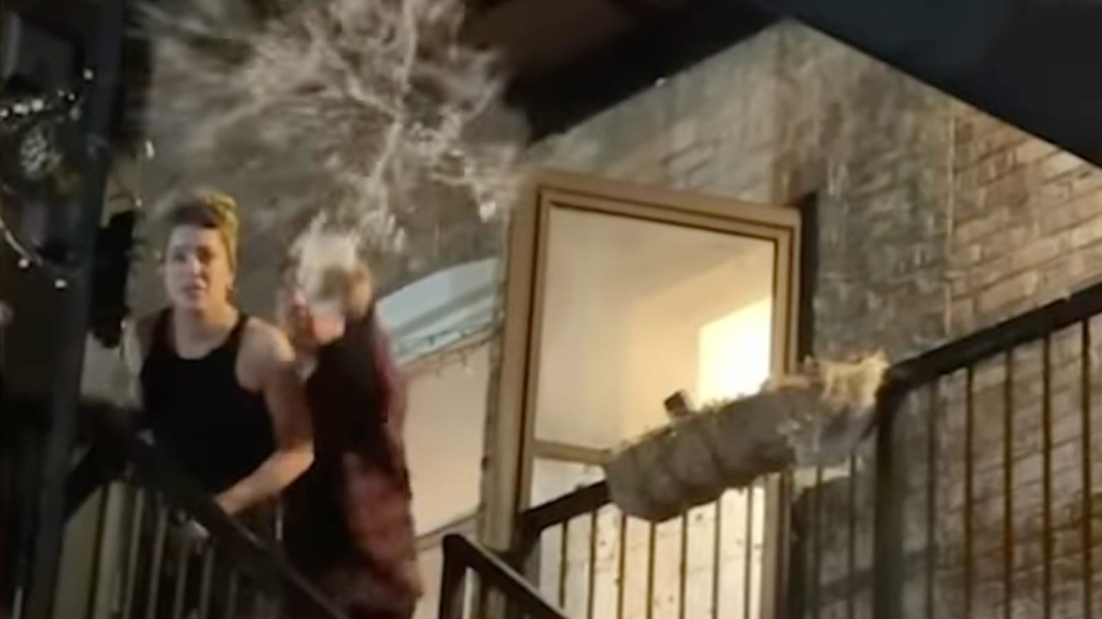 'MAGA couple' throw unknown liquid on teens practicing Mexican folk ...