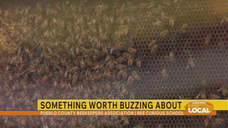 Learn beekeeping basics at Pueblo County Beekeepers Association’s bee ...