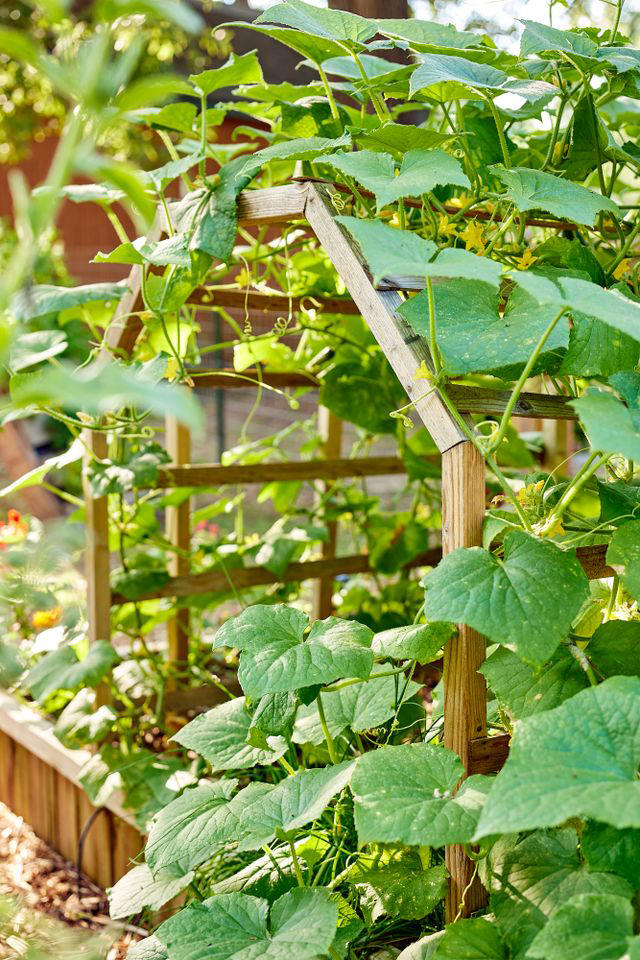 This dreamy vegetable garden is packed with DIY ideas you’ll want to copy
