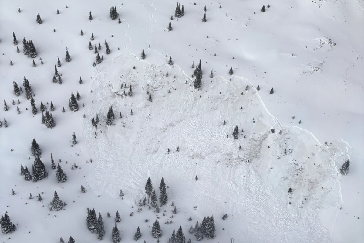 Colorado skier killed in backcountry avalanche, state's first avalanche ...