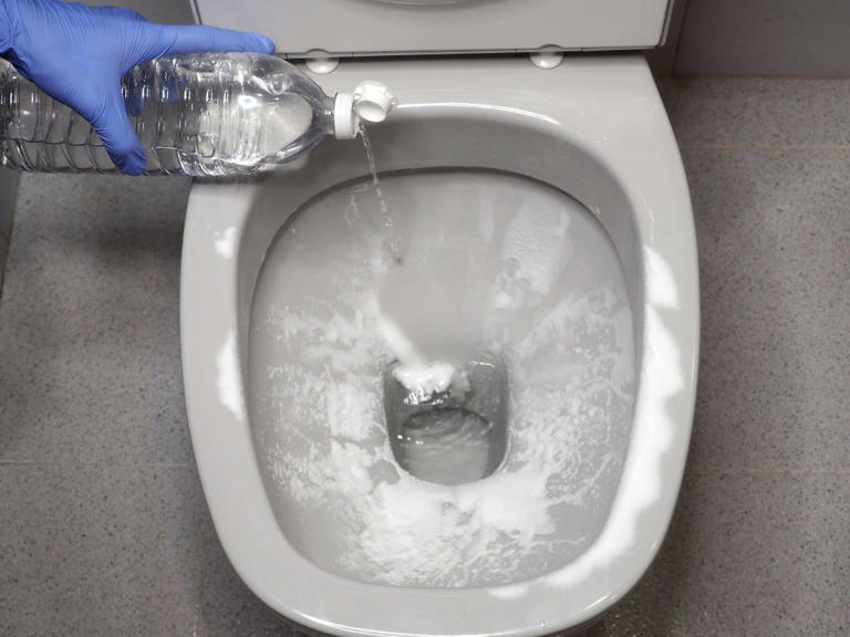 Cleaning experts say you should leave toilet cleaner on for this long