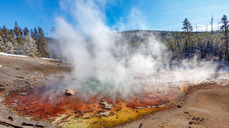 Yellowstone's largest acidic geyser wakes up after six years, blasting ...