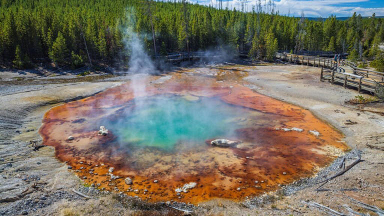 Yellowstone's largest acidic geyser wakes up after six years, blasting ...