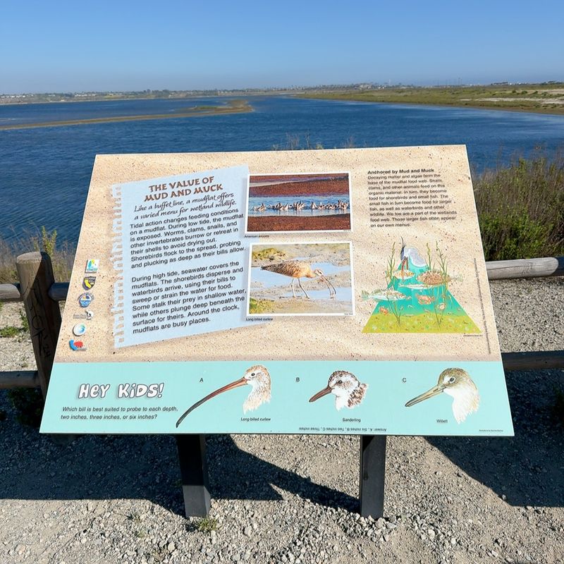 Where to see wildlife up close in California