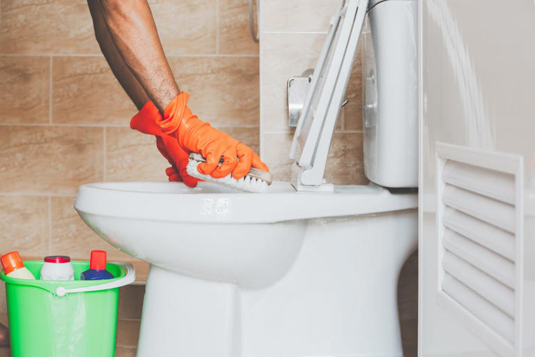 Cleaning experts say you should leave toilet cleaner on for this long