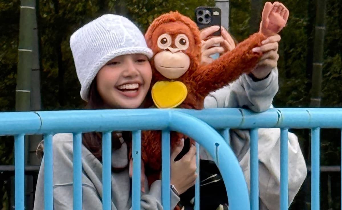 Blackpink's Lisa has a cute encounter with viral monkey Punch in Japan