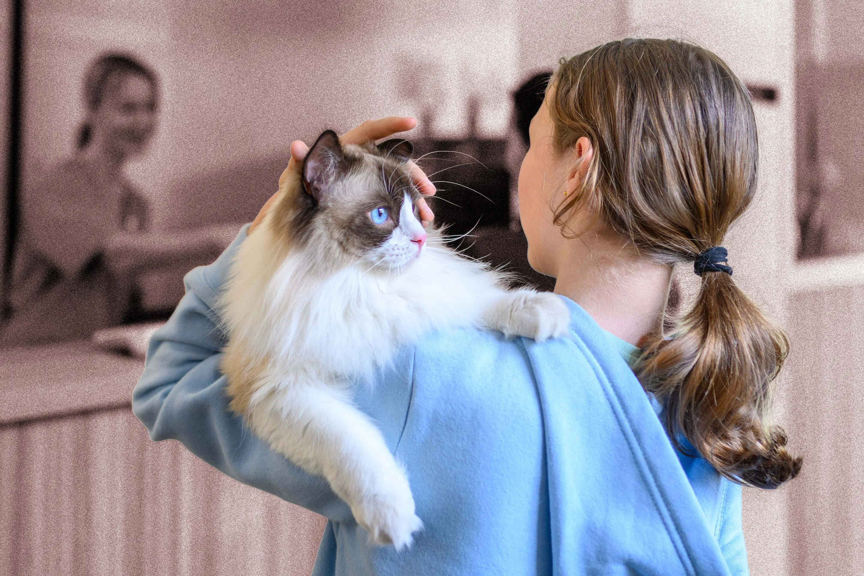 How to file a pet insurance claim: a step-by-step guide