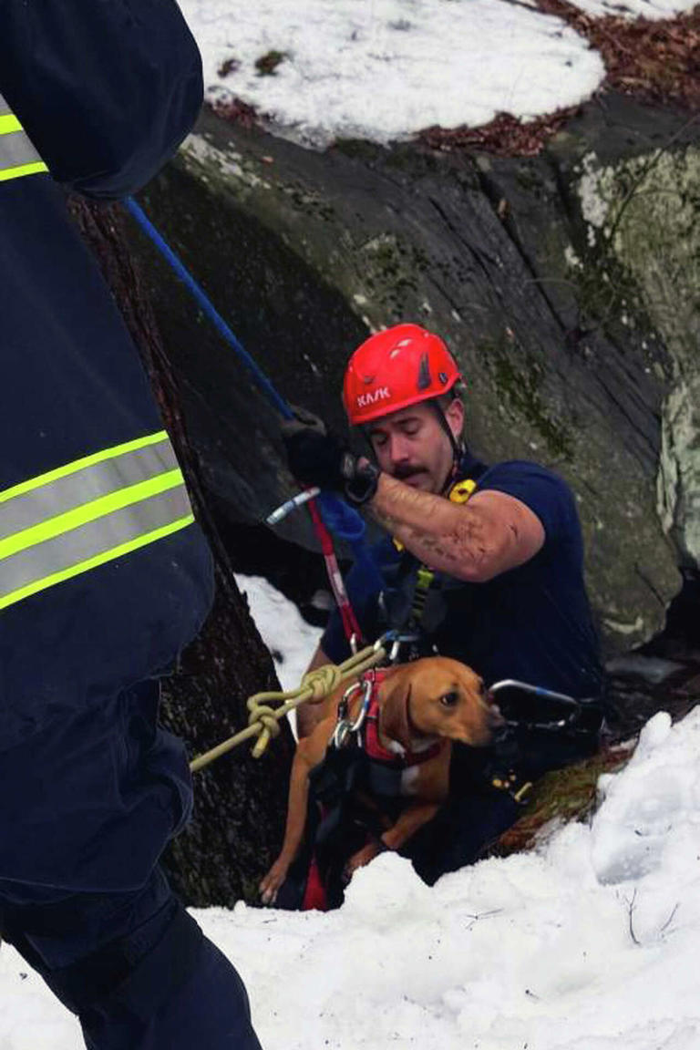 Dog saved by firefighters after falling down Putnam County waterfall