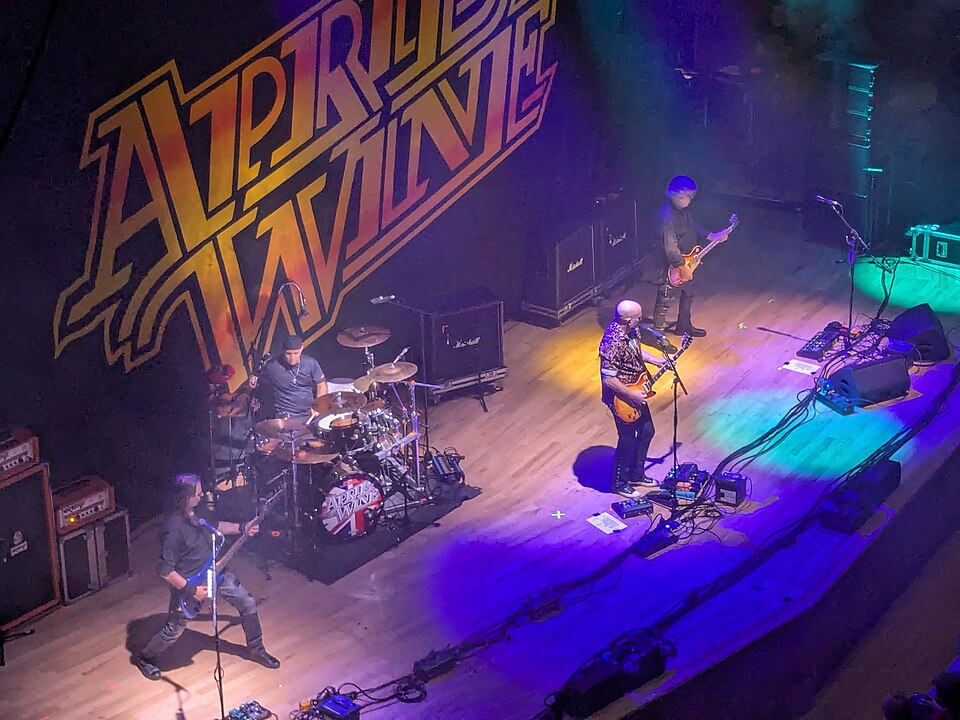 Can you identify these 15 Canadian bands from one song lyric?