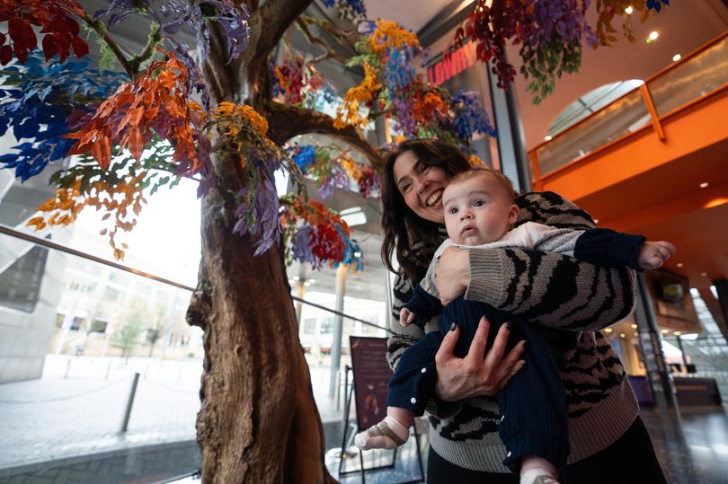 'Magical' tree trail launched by the Princess of Wales arrives in Salford