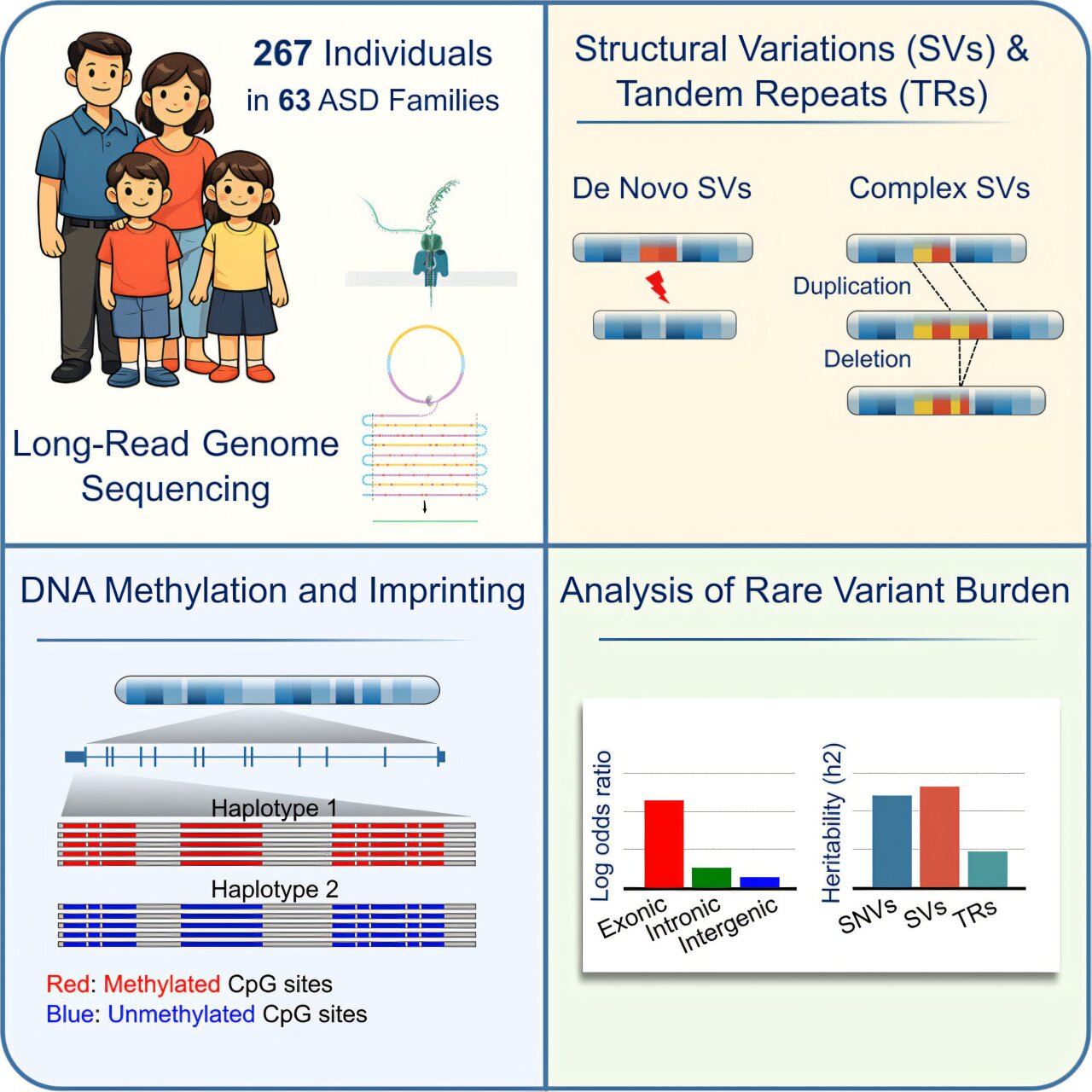 Long-read genome sequencing uncovers new autism gene variants