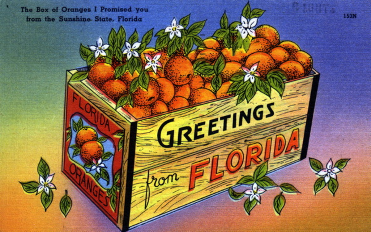 When Florida Bar said it was serious about ethical violations it meant ...