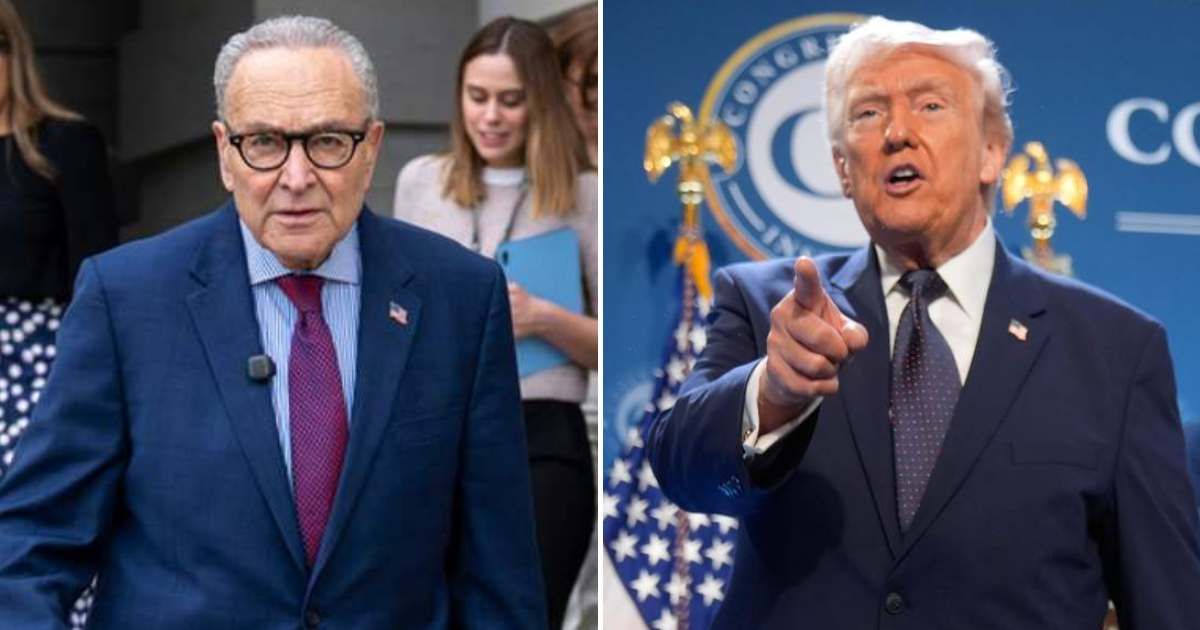 Trump slams Chuck Schumer over DHS shutdown amid Iranian sleeper cell ...