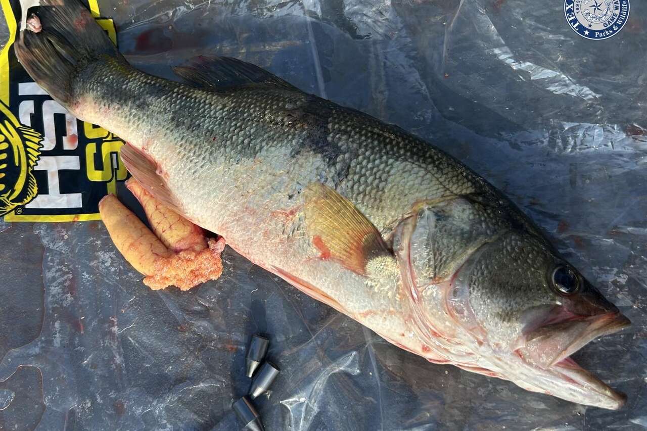 Texas angler arrested in alleged bass tournament cheating case