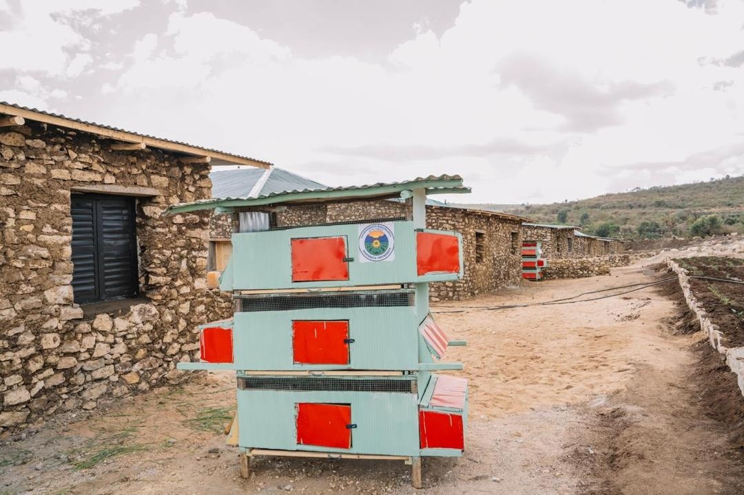 PM Abiy hails Harari rural corridor village as model for community ...