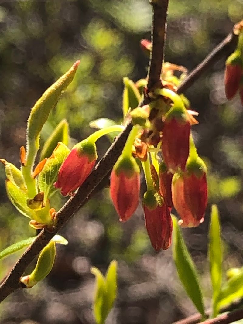 The secret New Jersey trail where boardwalks and carnivorous plants ...