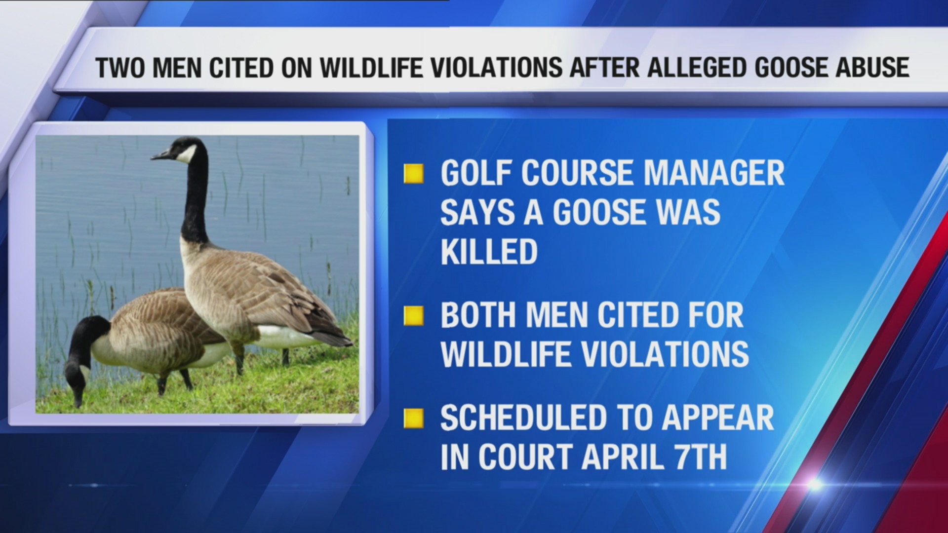 2 men cited on wildlife violations after alleged goose abuse at Alabama ...