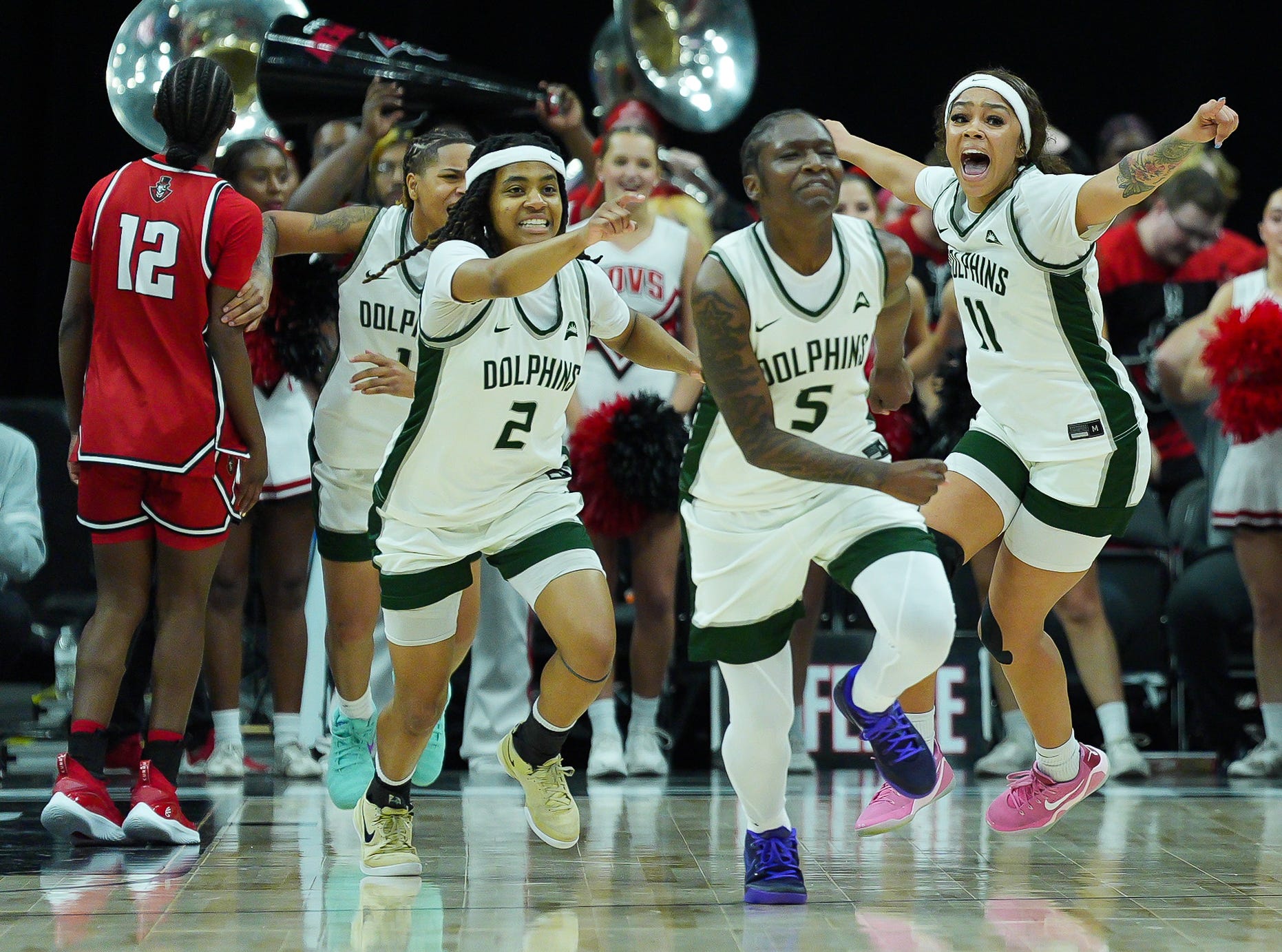 LSU plays Jacksonville in women's March Madness. What to know about the ...