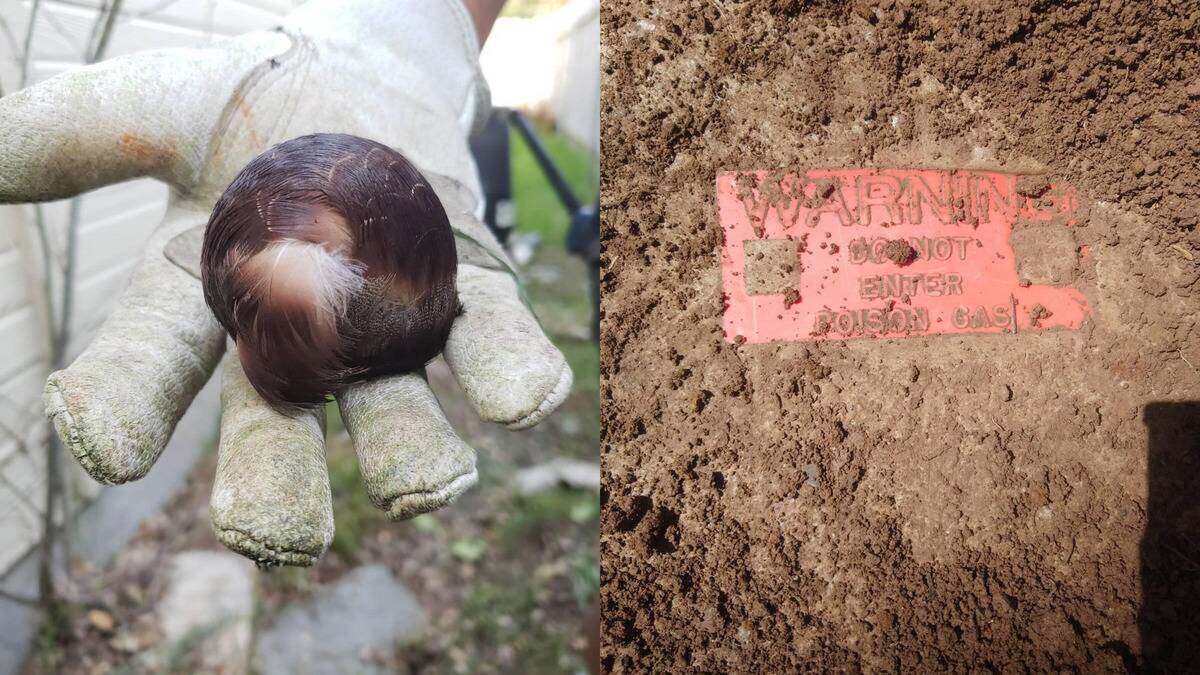 Strange sightings from everyday life that had us asking so many questions