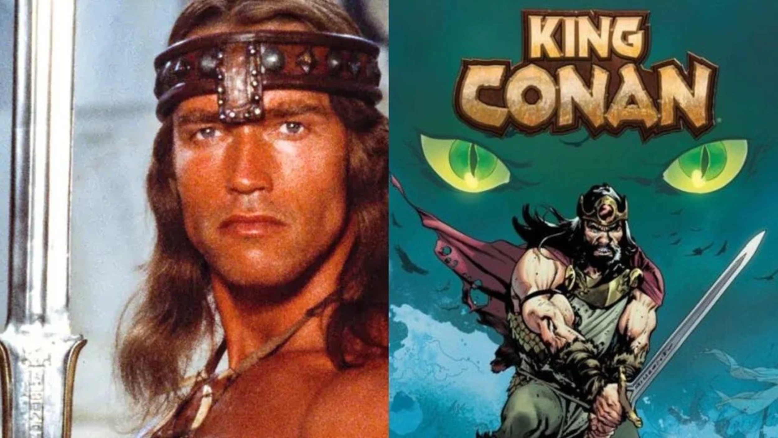 Arnold Schwarzenegger announces director for 'King Conan'