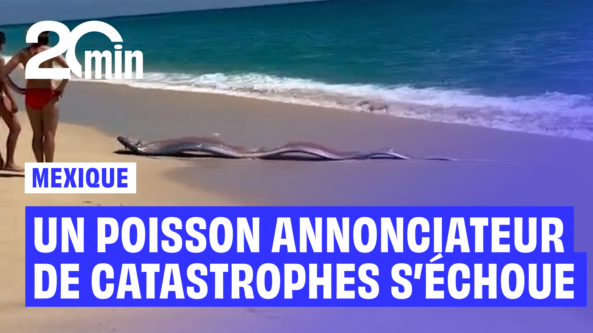 Mexique : un poisson annonciateur de catastrophes naturelles aperçu sur ...