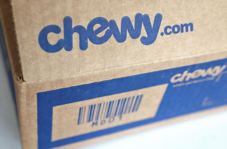 Chewy's $20 Tudor cardboard cat house: A cozy retreat for your feline ...