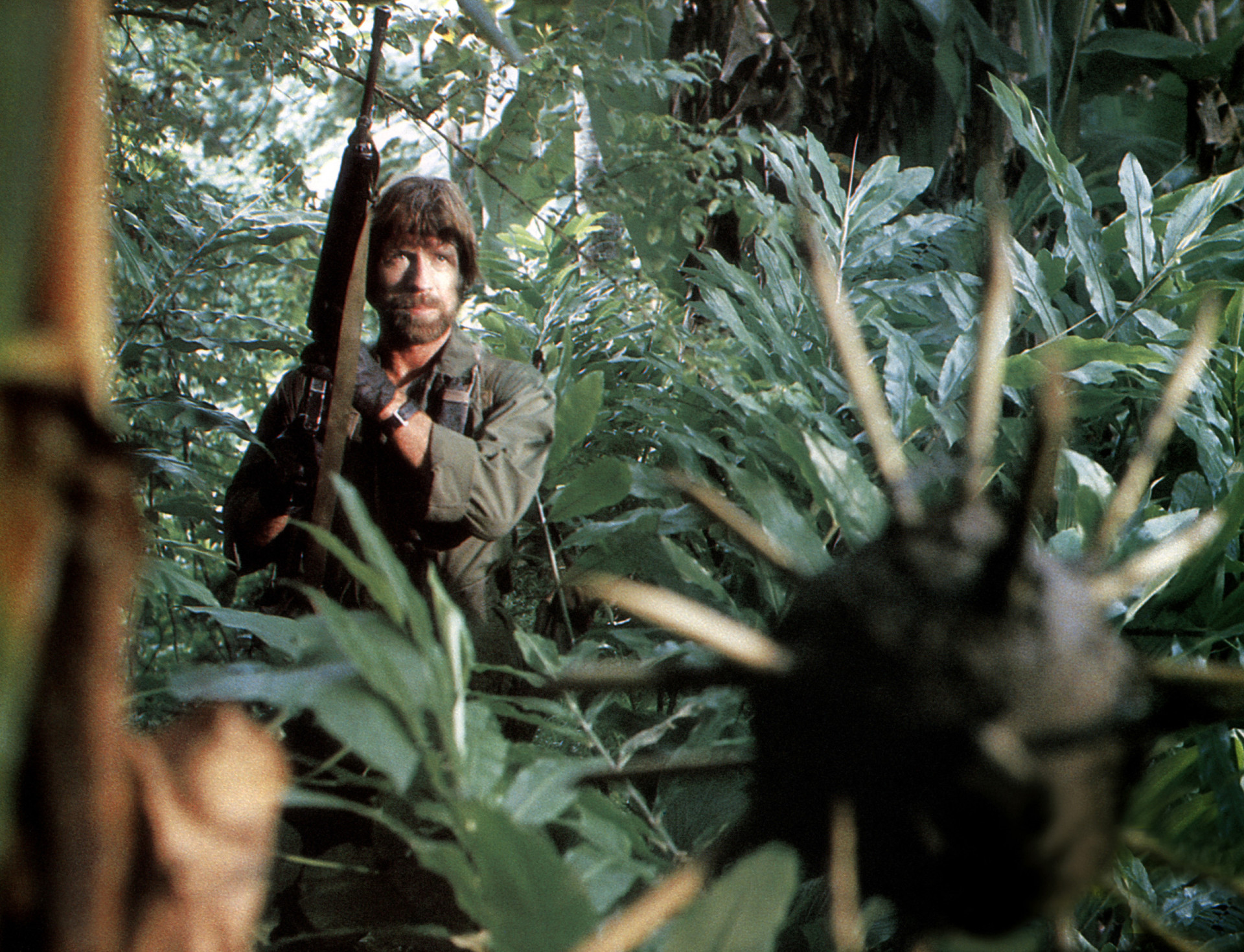 The best Chuck Norris jokes of all time
