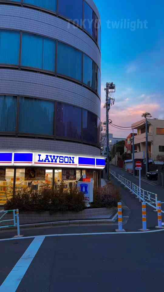 心を落ち着かせる東京の日常のひととき