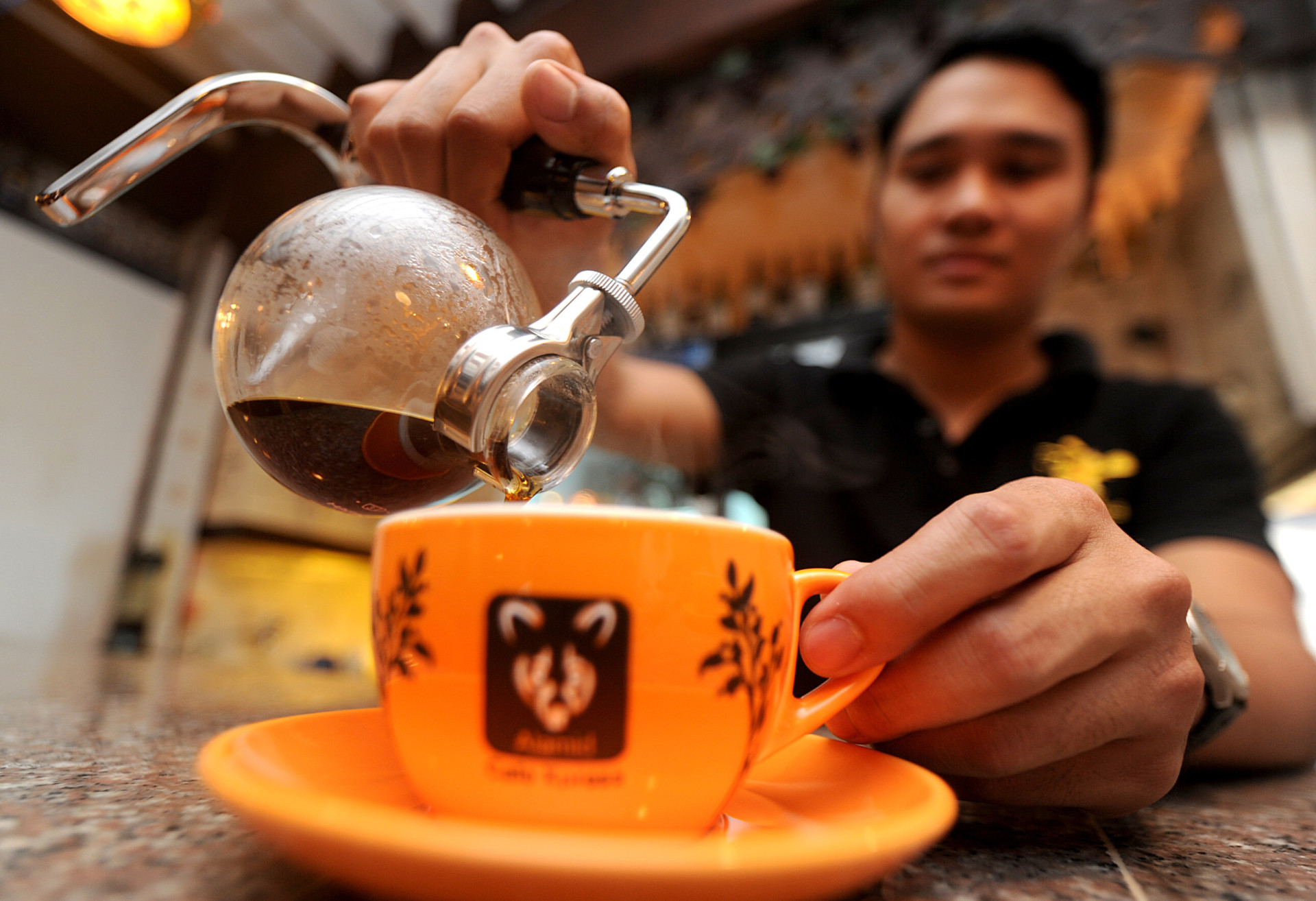 Er verdens dyreste kaffe fra civet-afføring virkelig hypen værd?