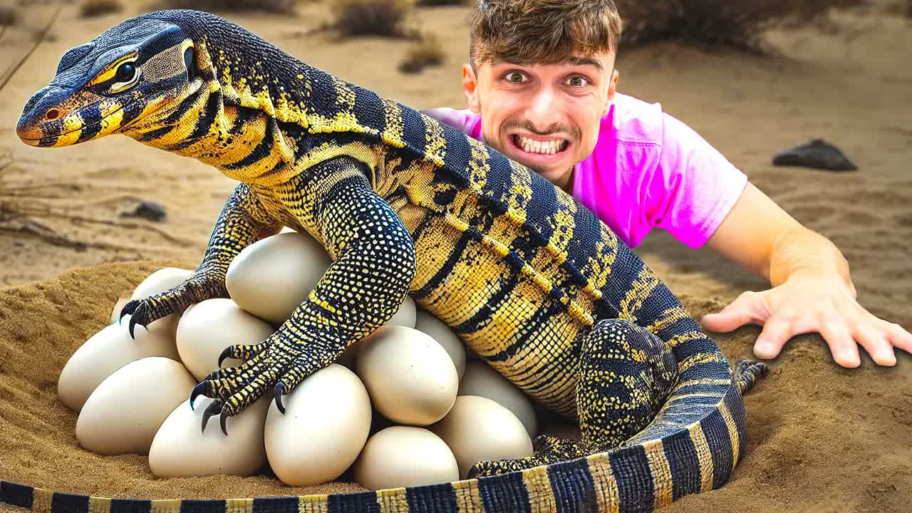 A reptile mystery unfolds - the male lizard that suddenly had babies
