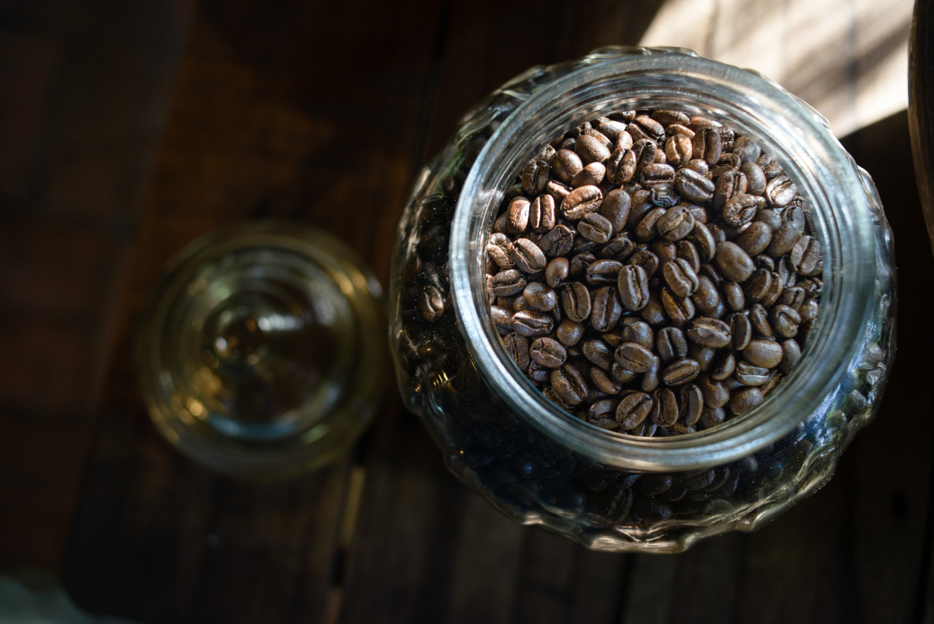 Er verdens dyreste kaffe fra civet-afføring virkelig hypen værd?