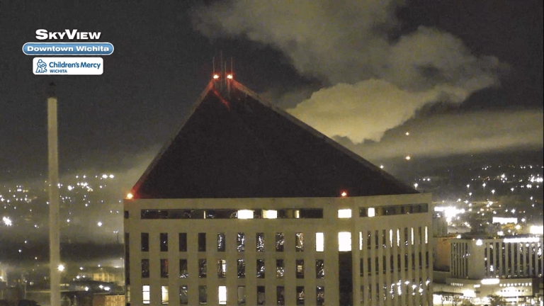 Soybean dryer causes fire at Wichita Cargill plant