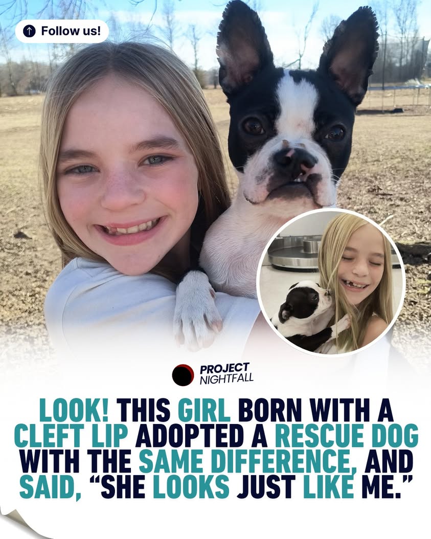 She looks just like me! Cleft lip puppy transforms girl's world ...