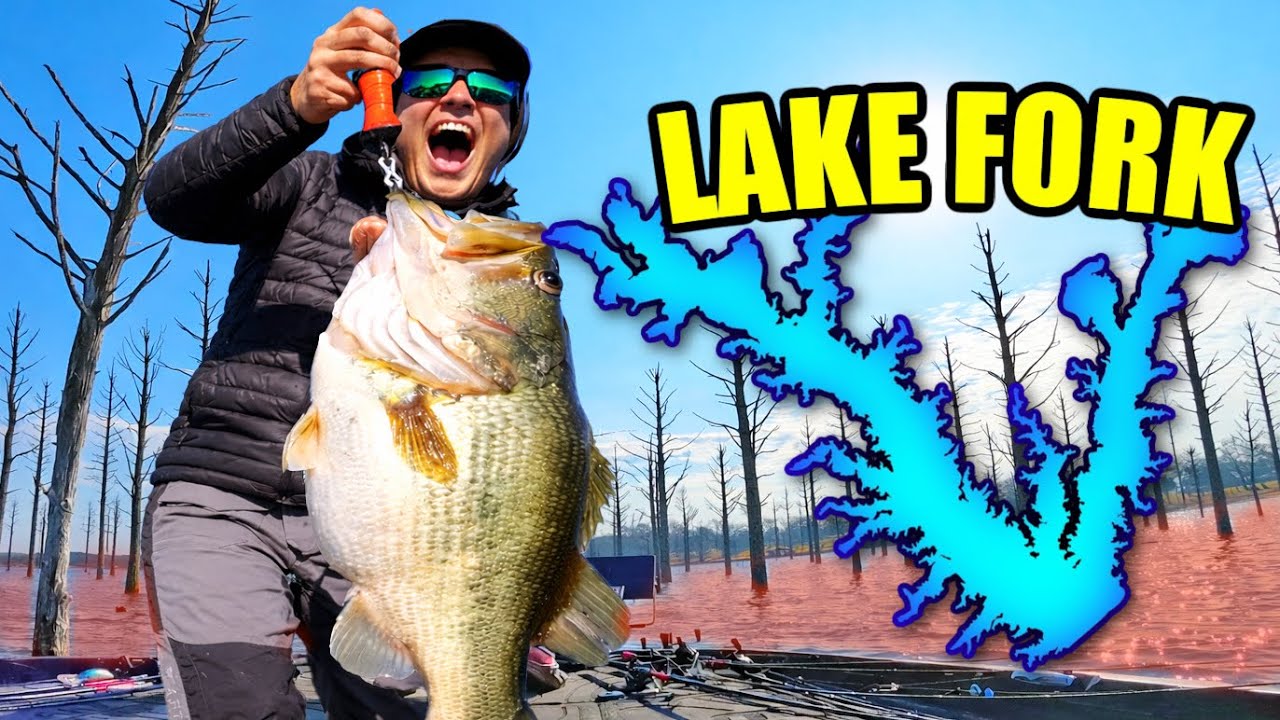 Texas angler lands massive 10-pound bass at Lake Fork